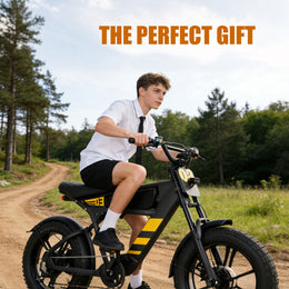 Electric Bike with Aluminium Frame for Commuting & Mountain Trails ...