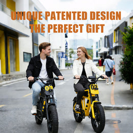 Electric Bike with Aluminium Frame for Commuting & Mountain Trails ...